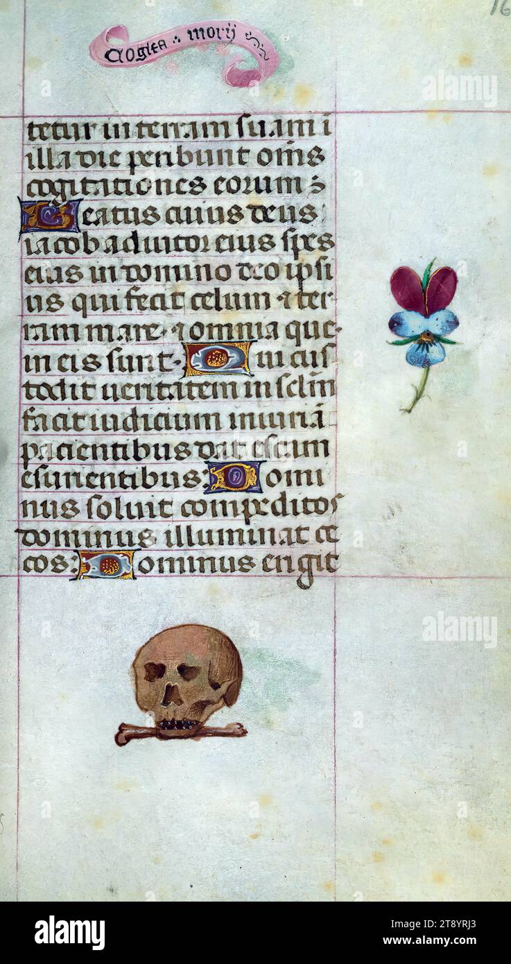 Illuminated manuscript marginalia hi-res stock photography and images ...