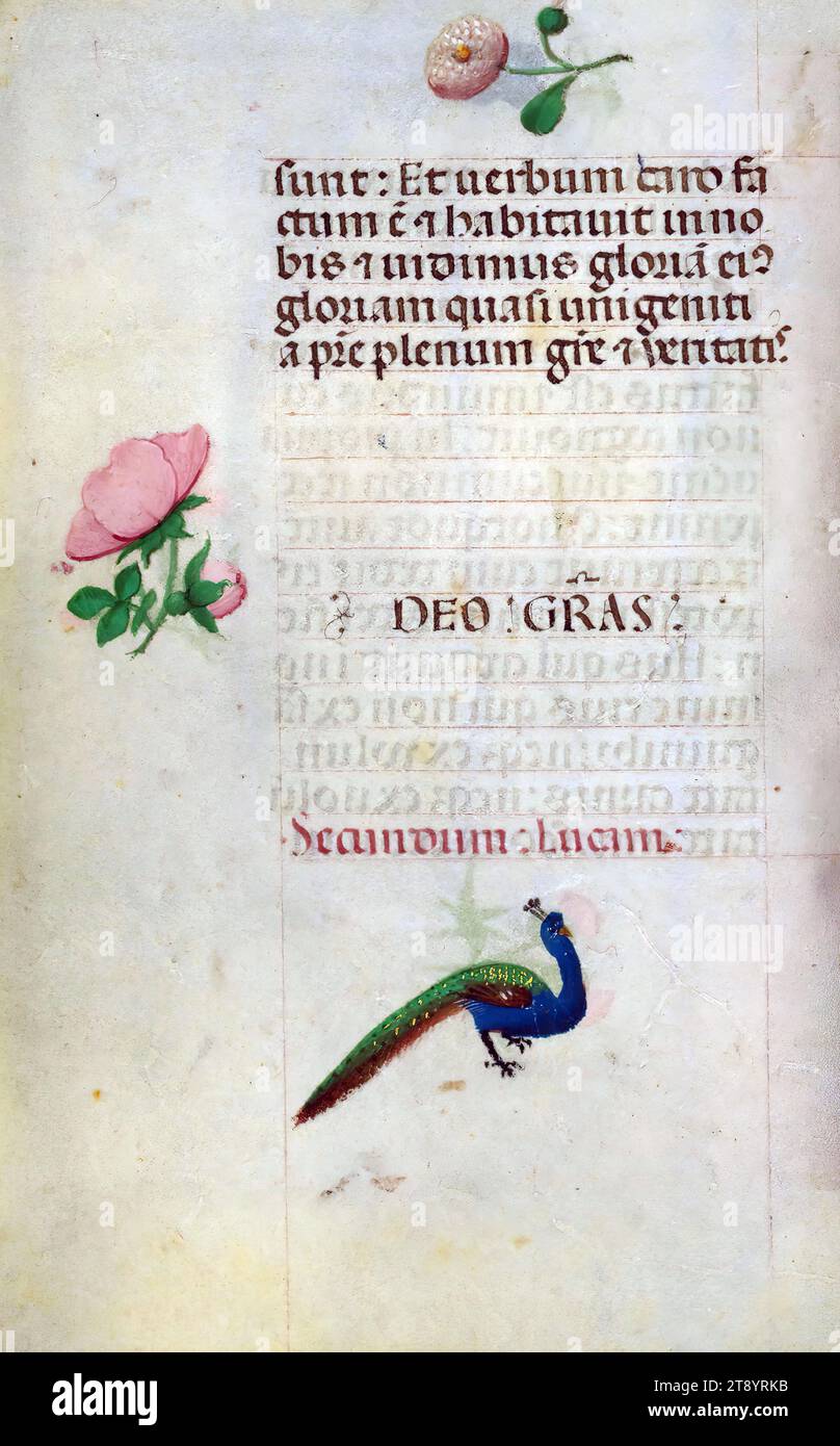 Book of Hours, This manuscript was created ca. 1500 in Bruges or Ghent ...
