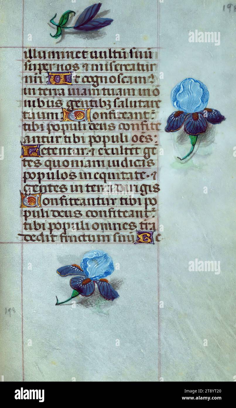 Book of Hours, Marginalia, This manuscript was created ca. 1500 in ...