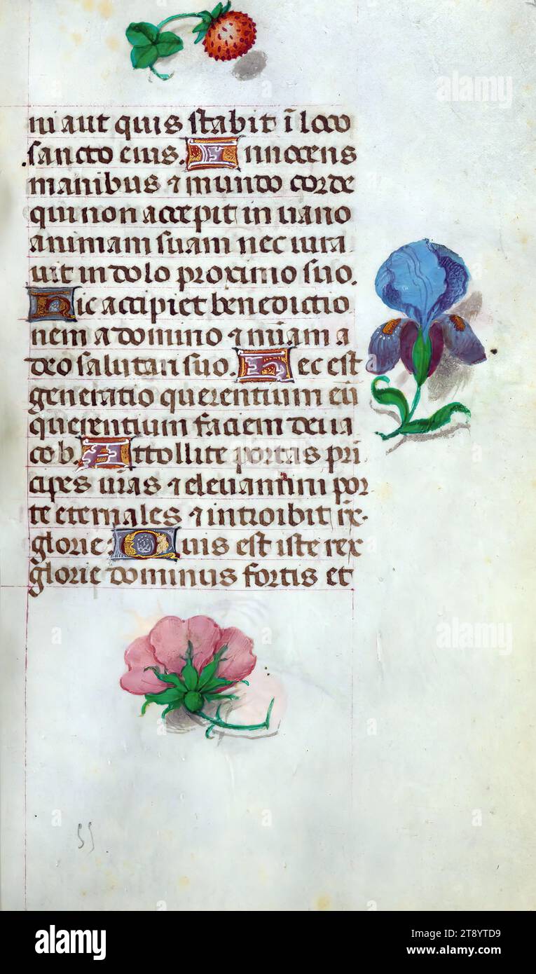 Book of Hours, This manuscript was created ca. 1500 in Bruges or Ghent ...