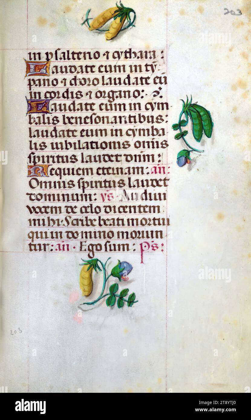 Illuminated manuscript marginalia hi-res stock photography and images ...