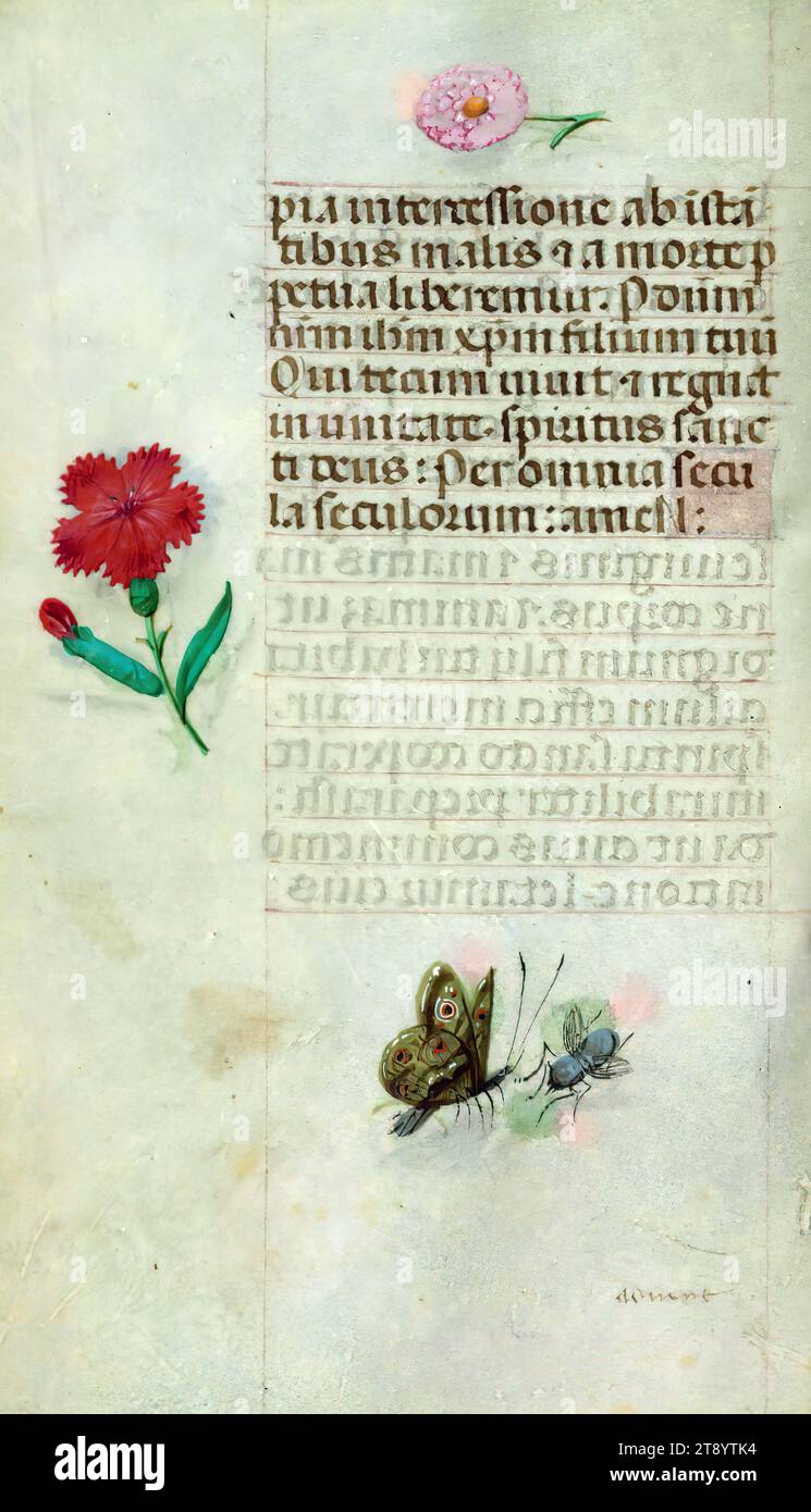Illuminated manuscript marginalia hi-res stock photography and images ...