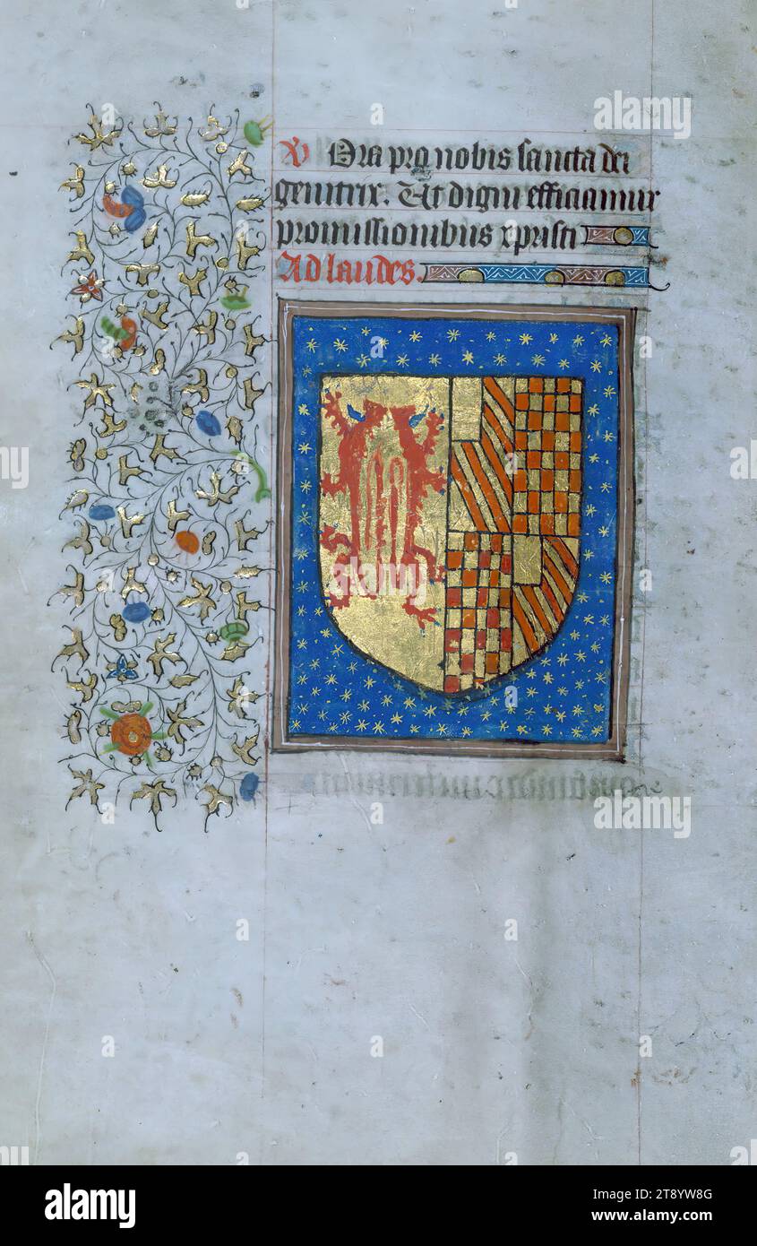 Heraldry coat arms france coat hi-res stock photography and images - Alamy