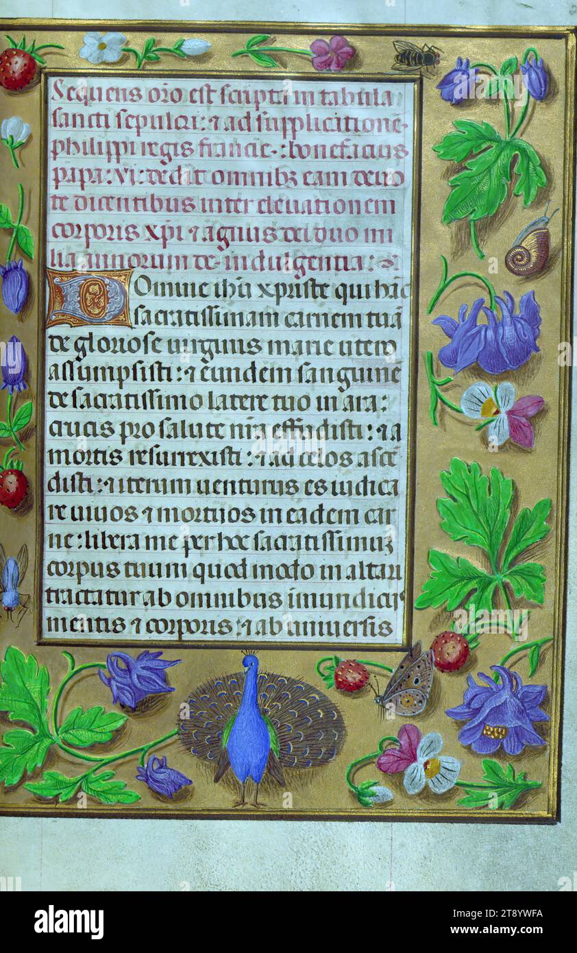 Book of Hours (Medieval text, Modern illuminations), Marginalia ...