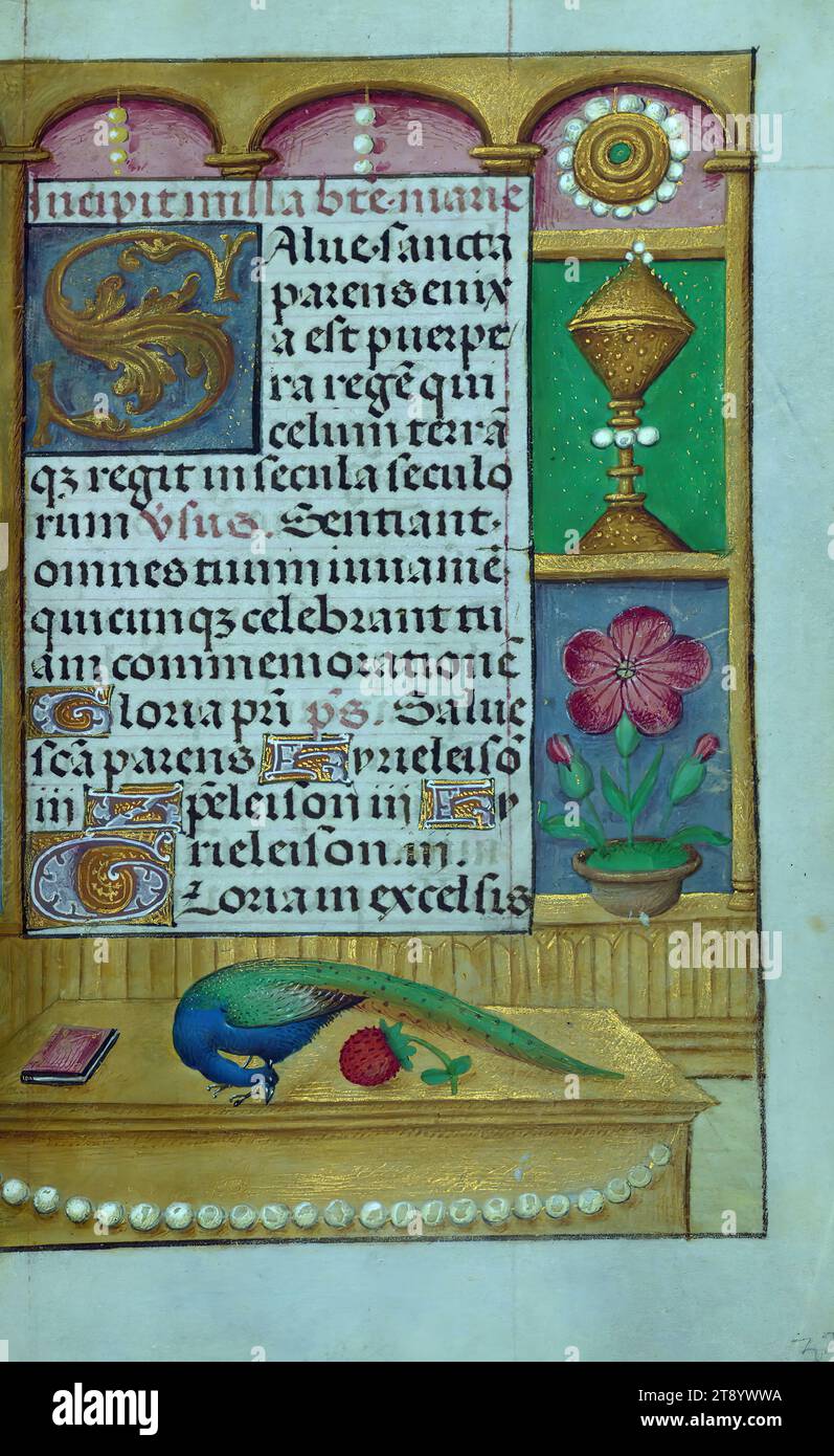 Flemish illuminations hi-res stock photography and images - Alamy