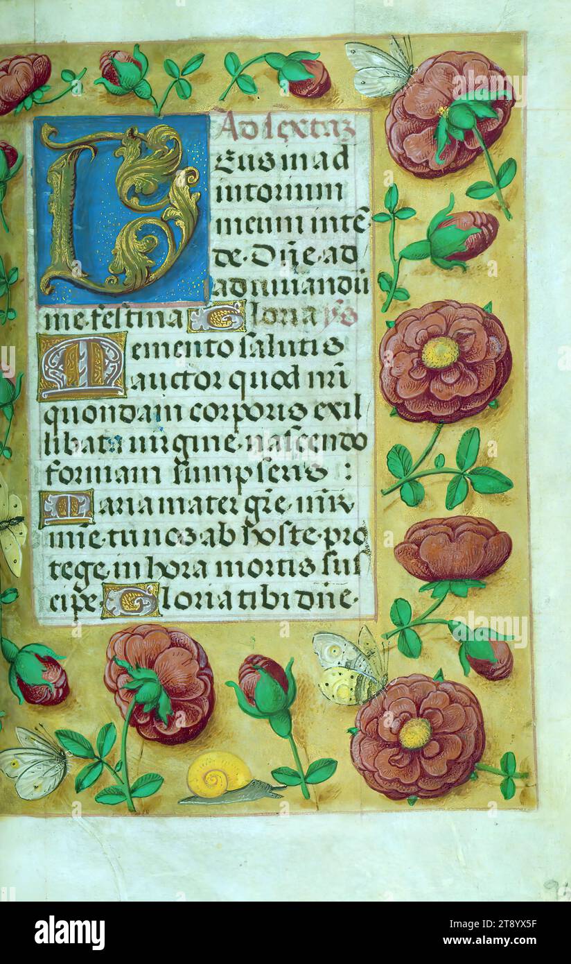 Flemish illuminations hi-res stock photography and images - Alamy