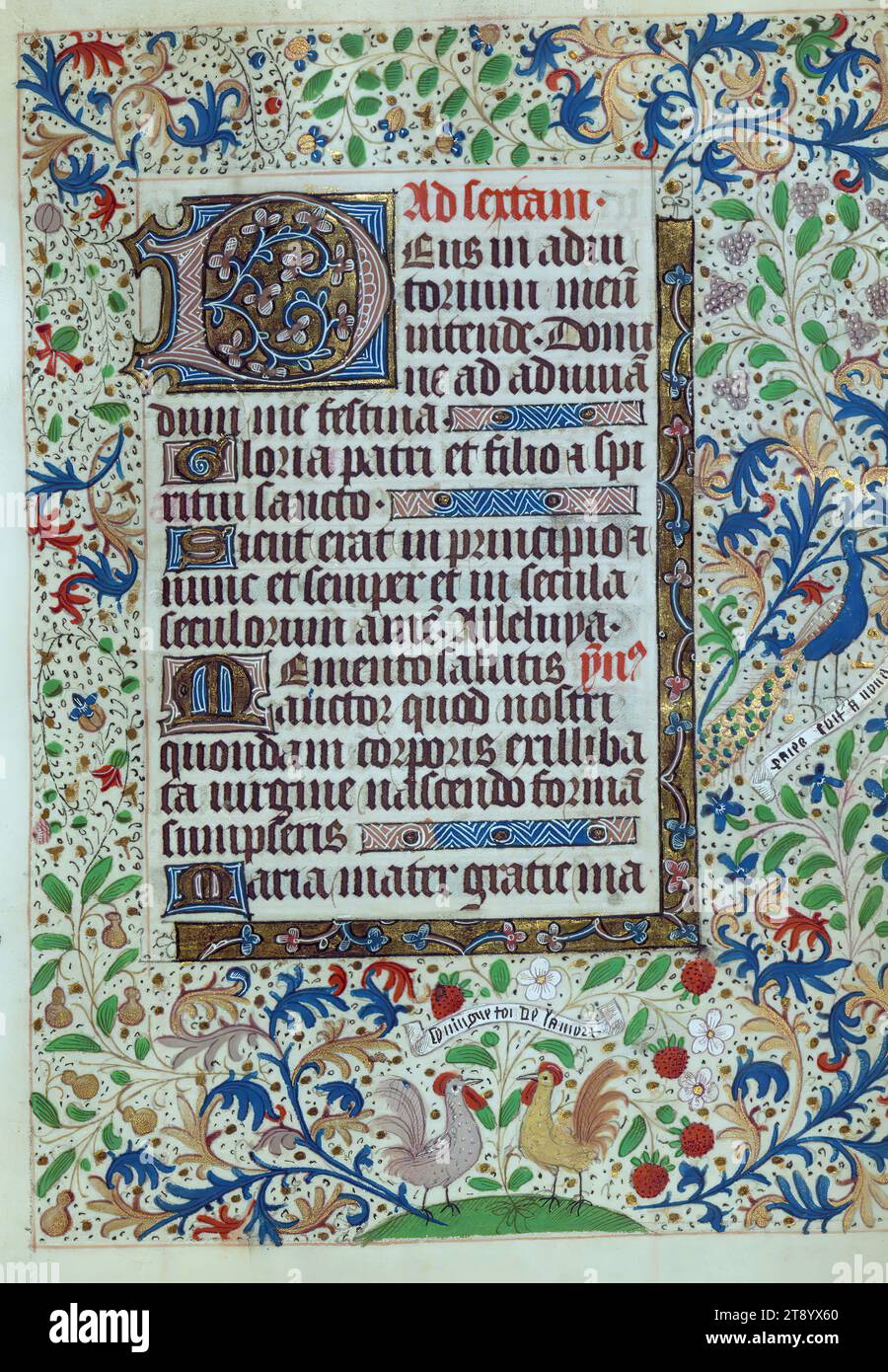 Novice manuscript hi-res stock photography and images - Alamy