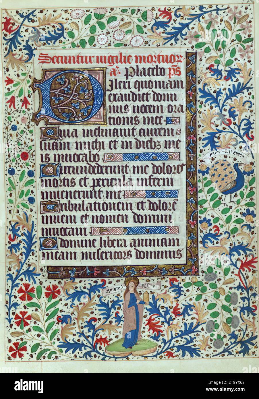 Novice manuscript hi-res stock photography and images - Alamy