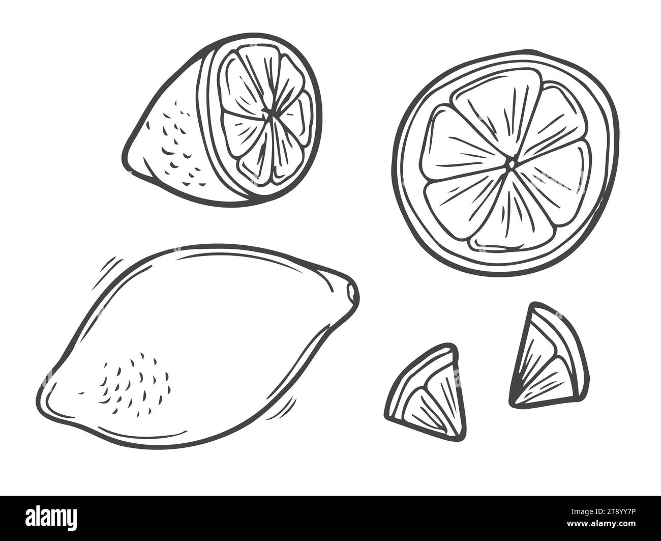 Lemon doodle illustrations set in vector. Hand drawn lemon illustrations collection Stock Vector ...