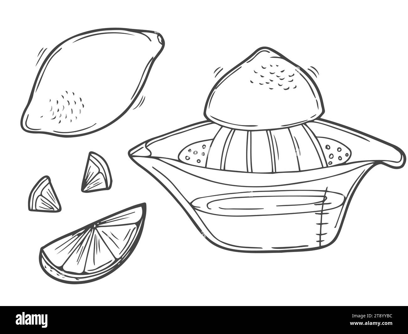 squeezer doodle style on white background Stock Vector Image & Art - Alamy