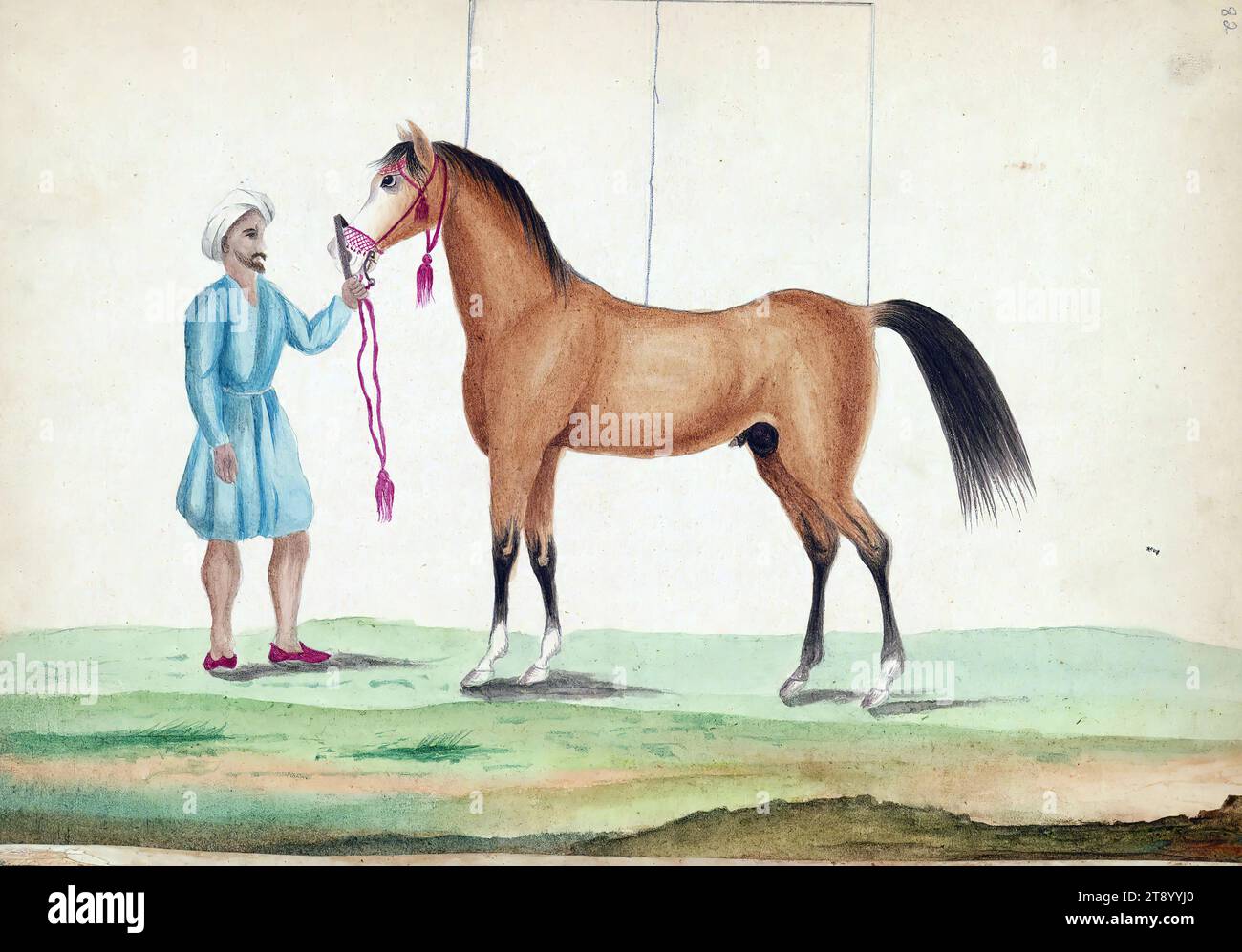 Illustrated ottoman copy hi-res stock photography and images - Alamy