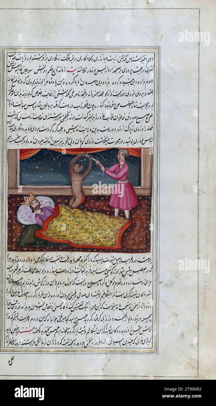 Robber monkey hi-res stock photography and images - Alamy