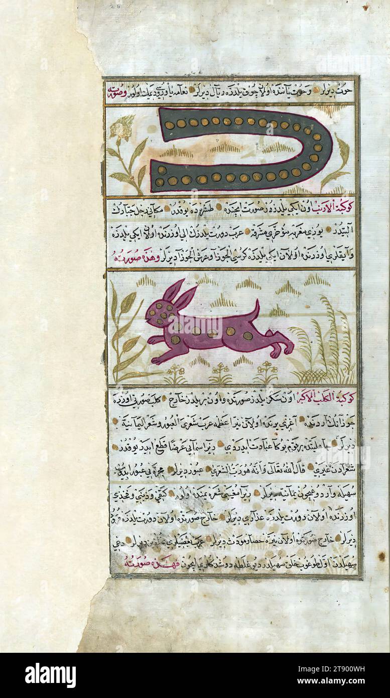 Islamic medicine ottoman manuscript hi-res stock photography and images ...
