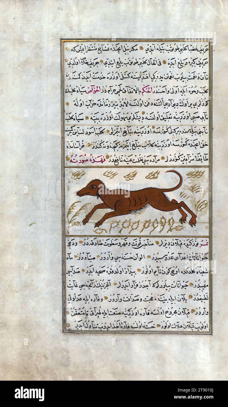 Turkish version of the Wonders of creation, A dog, This is an Ottoman ...