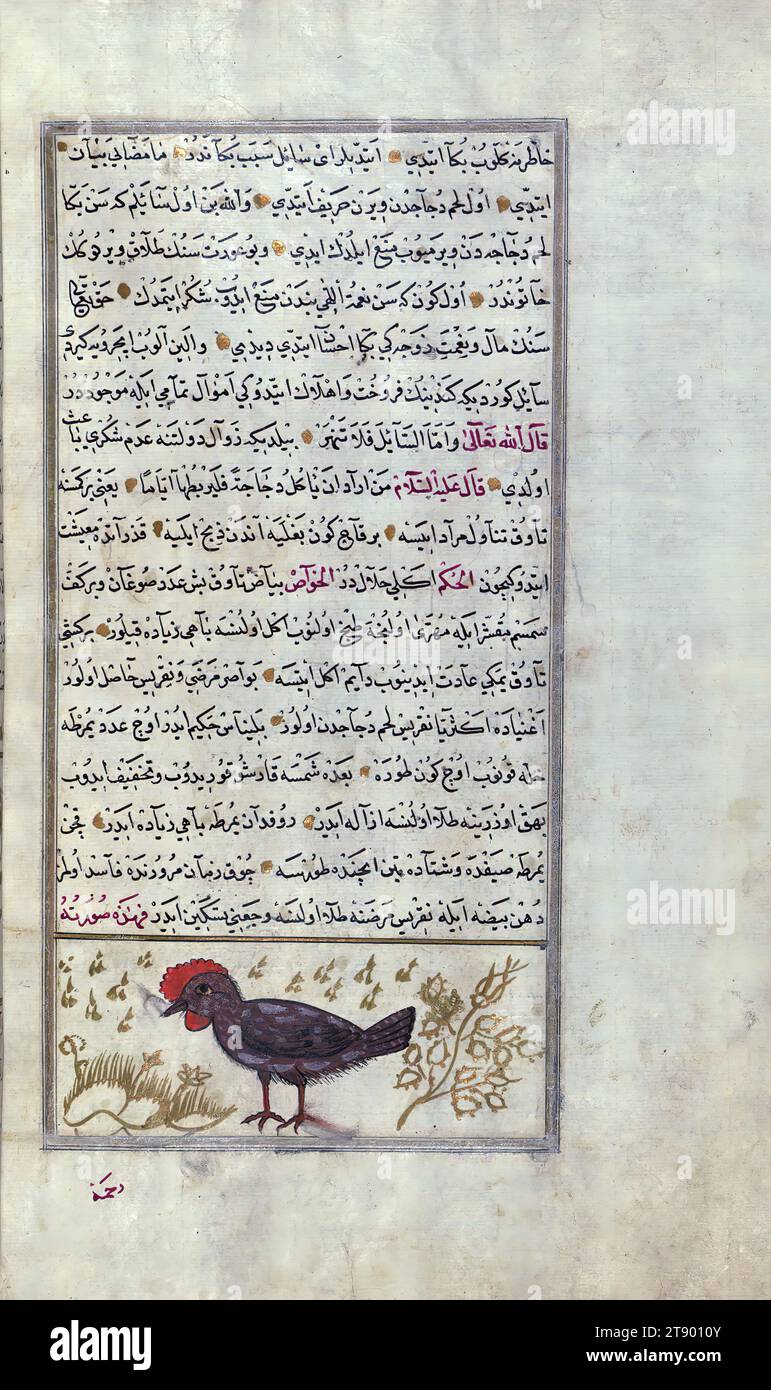 Islamic medicine ottoman manuscript hi-res stock photography and images ...
