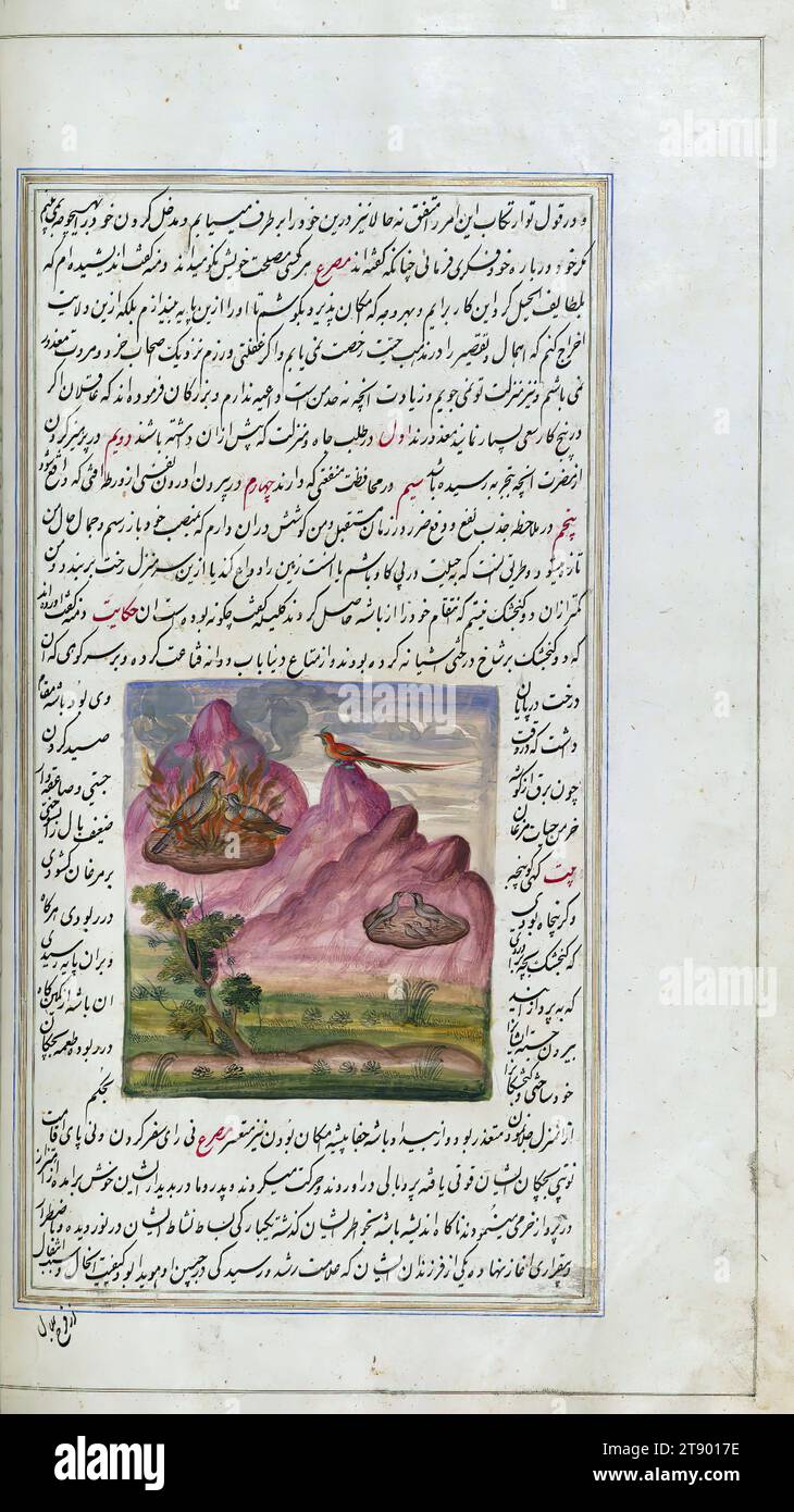 Two sparrows set hi-res stock photography and images - Alamy