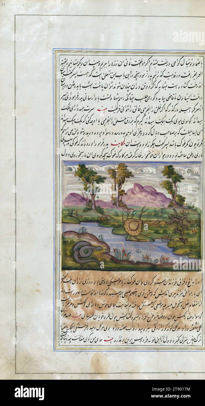 The lights of Canopus, A frog, a snake, and a crab, This is an ...