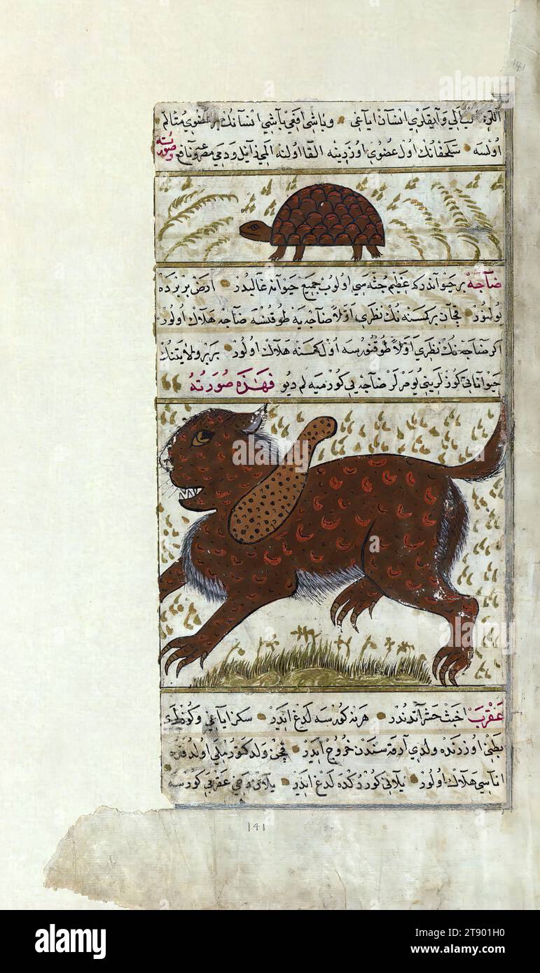 Dajah hi-res stock photography and images - Alamy