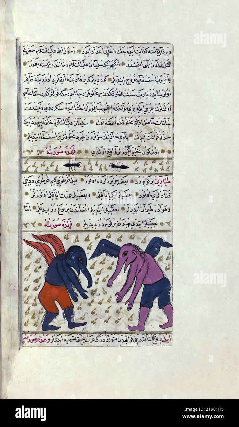 Turkish version of the Wonders of creation, Two ants and two strange ...