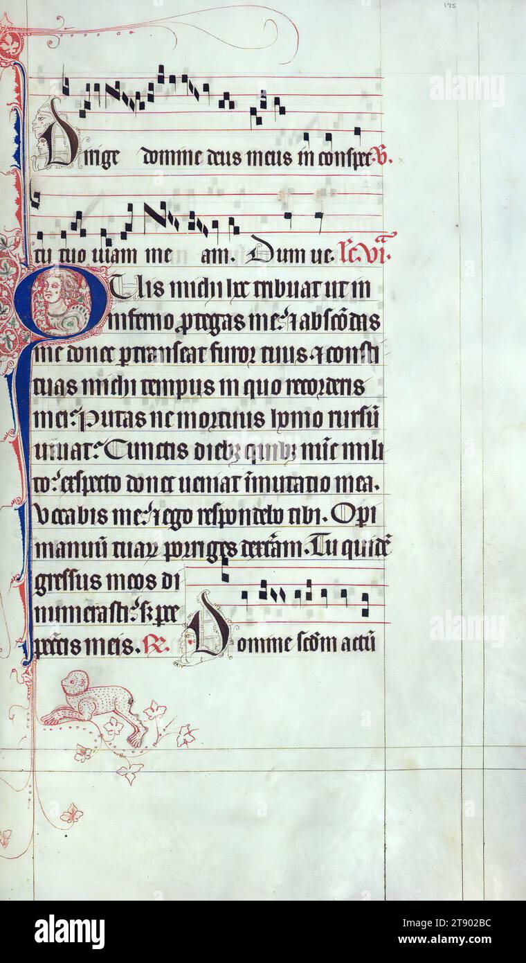 Monkey marginal decoration hi-res stock photography and images - Alamy