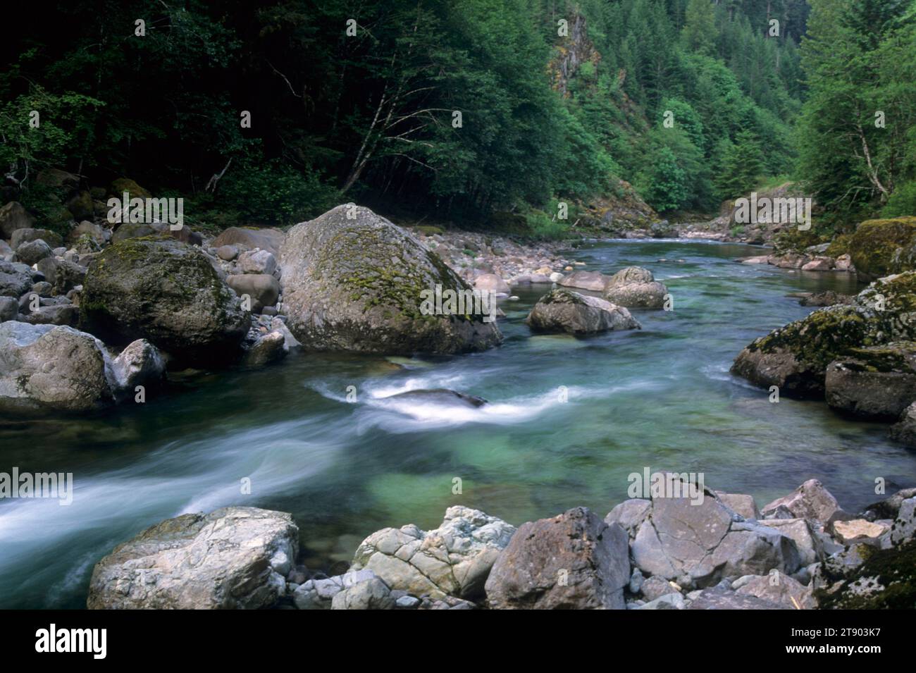 Quartzville Creek, Quartzville National Back Country Byway, Quartzville ...
