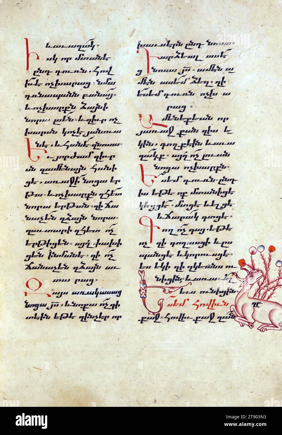 Amida scriptorium hi-res stock photography and images - Alamy