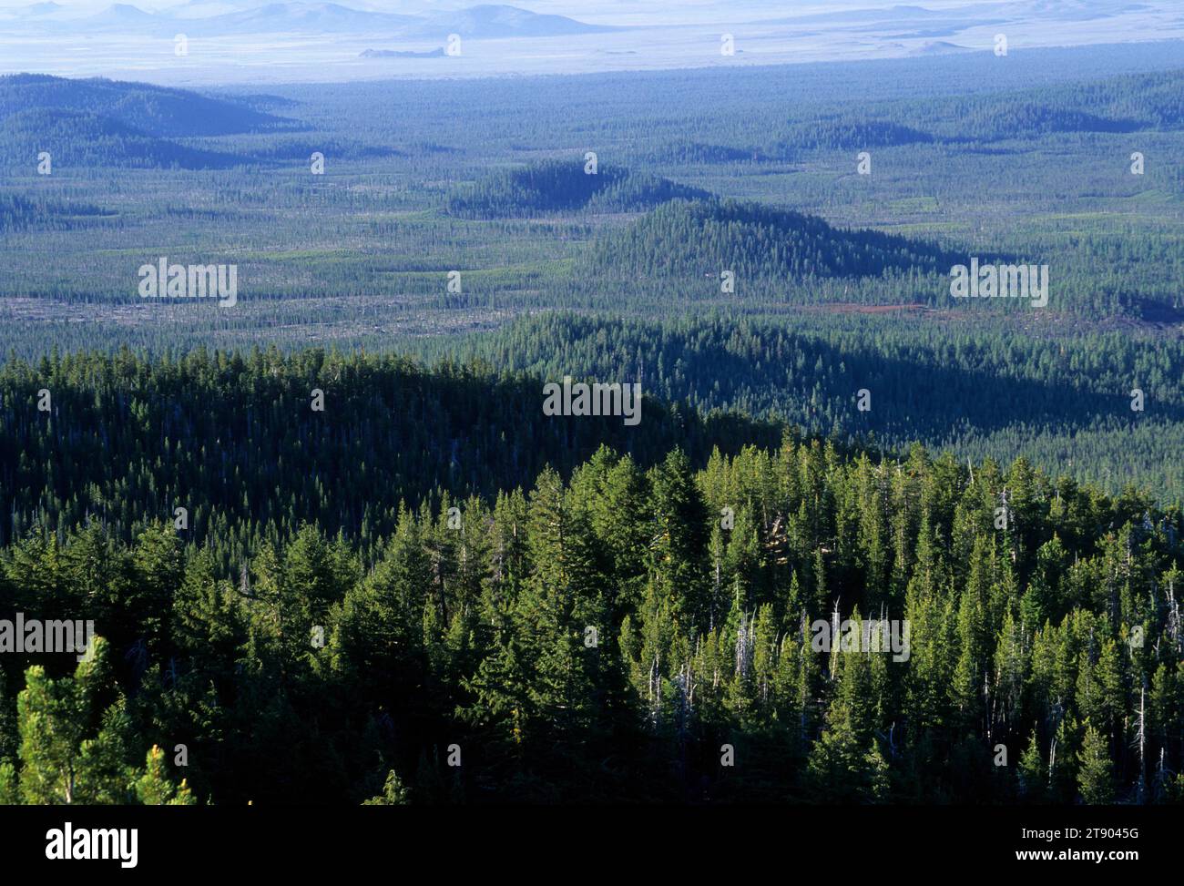 Cinder cone view from Paulina Peak, Newberry National Volcanic Monument ...