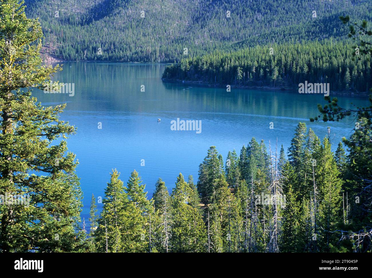 Paulina Lake from Little Crater Trail, Newberry National Volcanic ...