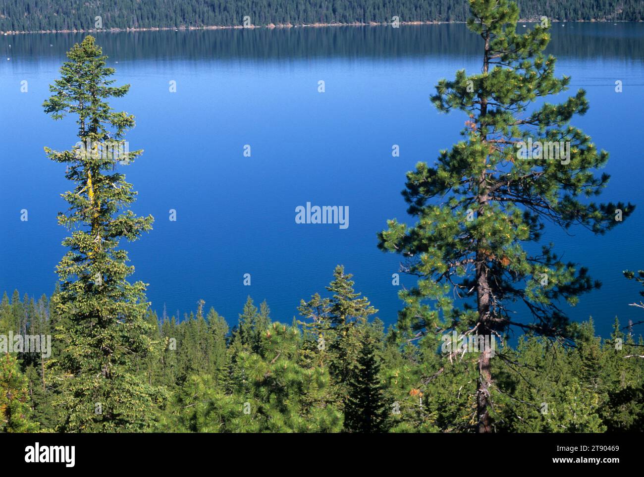 Paulina Lake from Little Crater Trail, Newberry National Volcanic ...