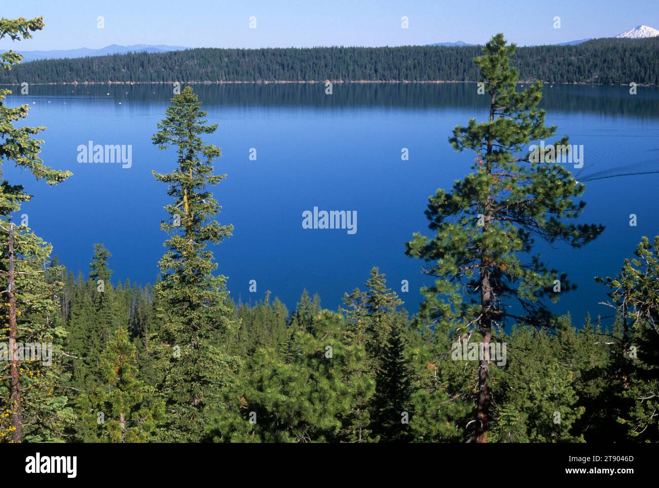 Paulina Lake from Little Crater Trail, Newberry National Volcanic ...
