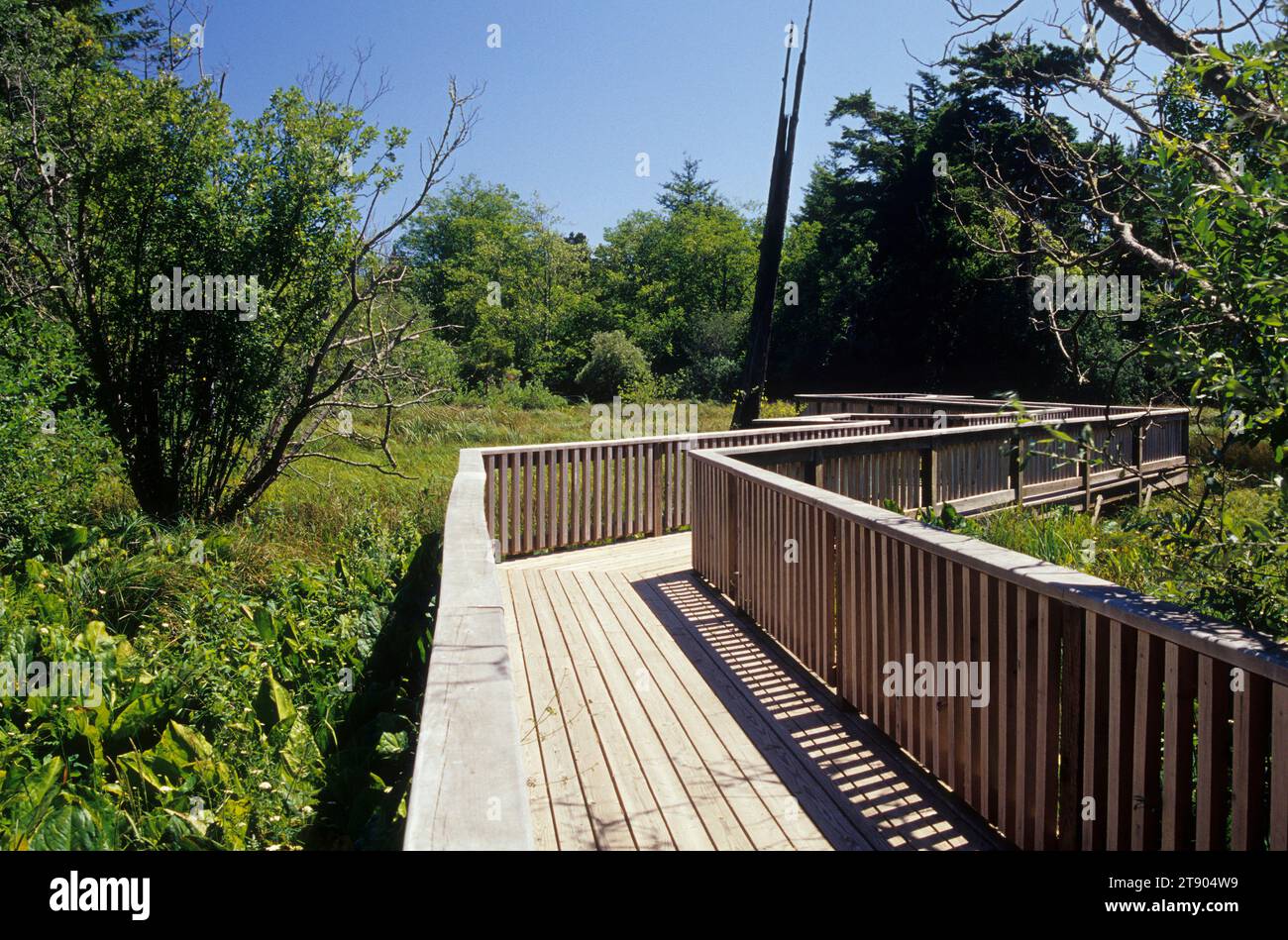 Port Orford Wetland Walkway, Port Orford, Oregon Stock Photo - Alamy