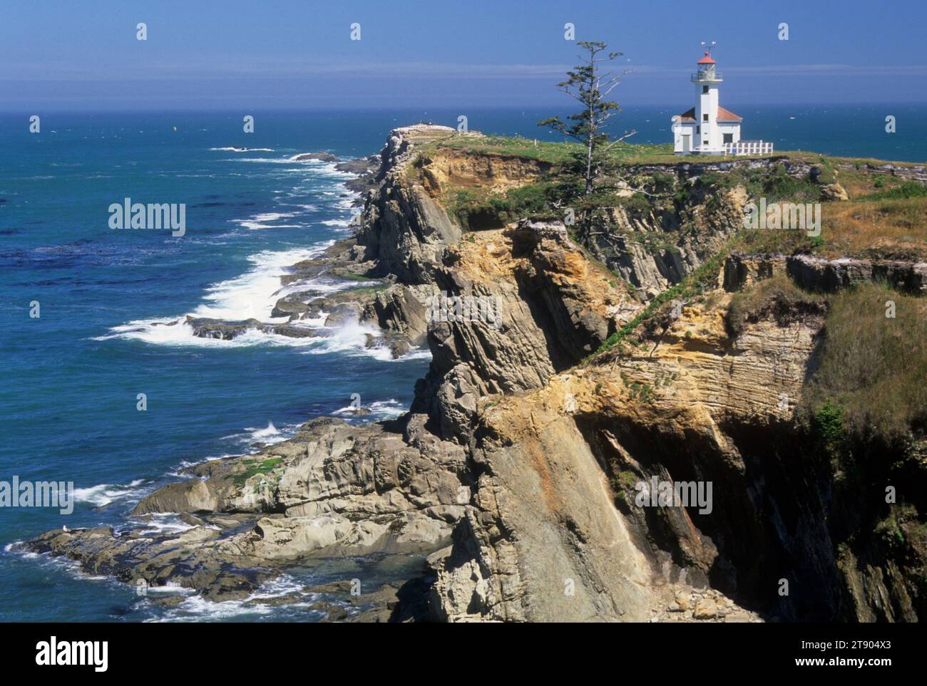 Cape Arago Lighthouse, Sunset Bay State Park, Oregon Stock Photo - Alamy