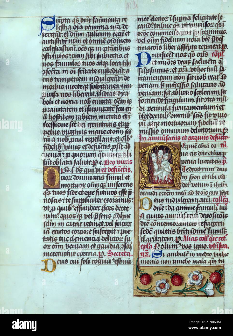 Heraldry indicating hi-res stock photography and images - Alamy