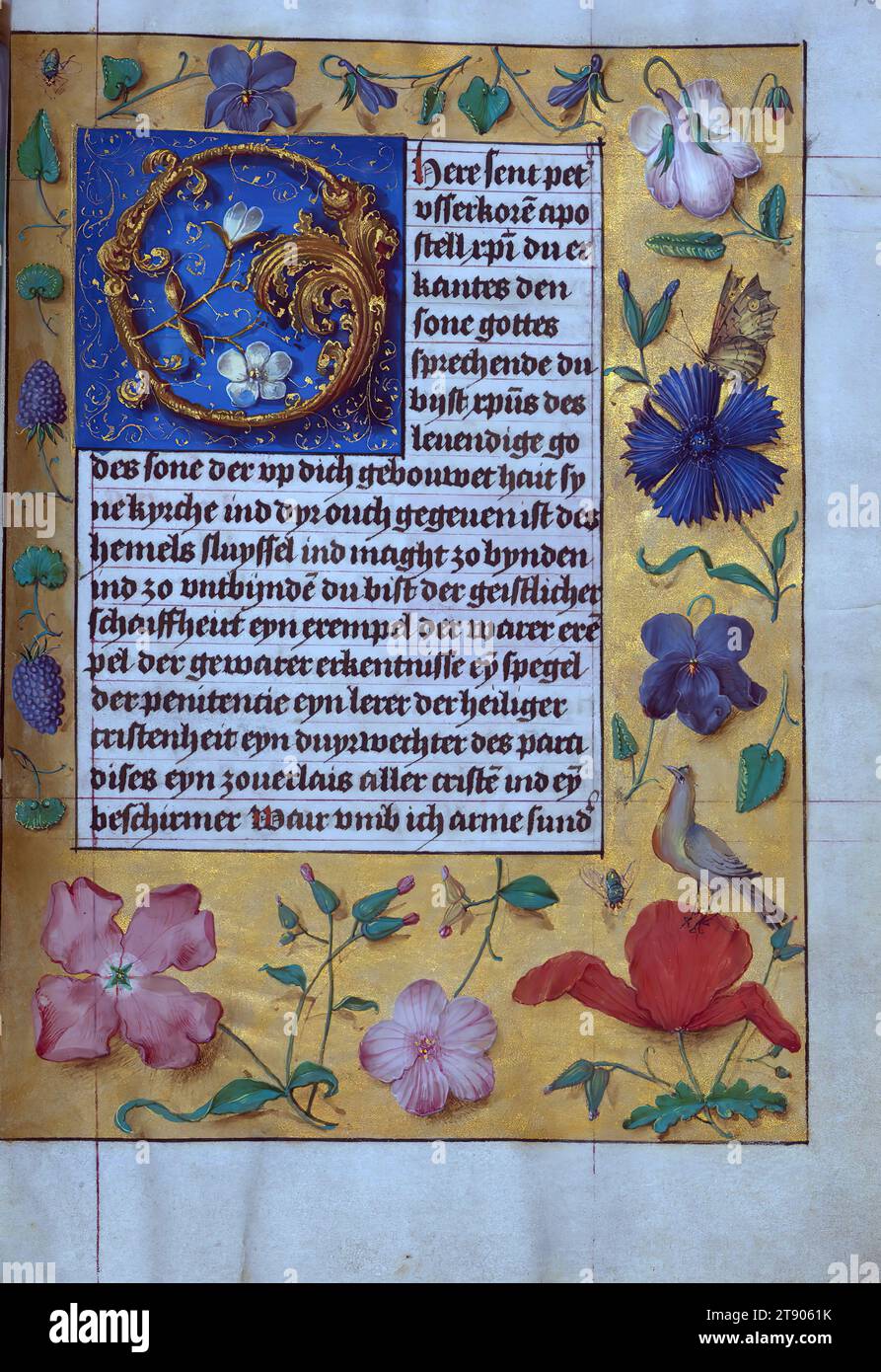 Marginal decorations hi-res stock photography and images - Alamy