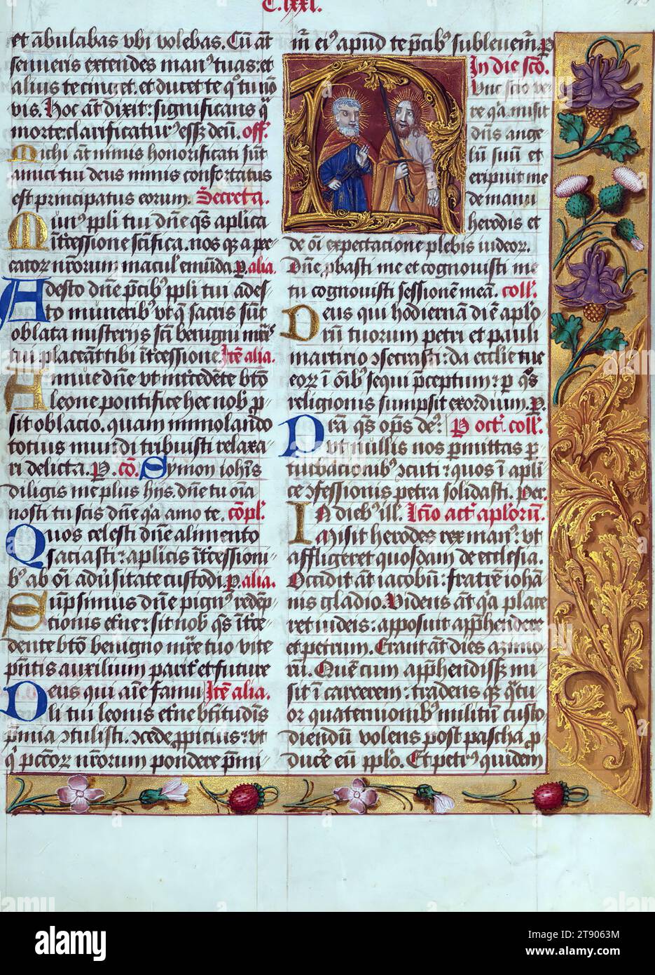 Heraldry indicating hi-res stock photography and images - Alamy