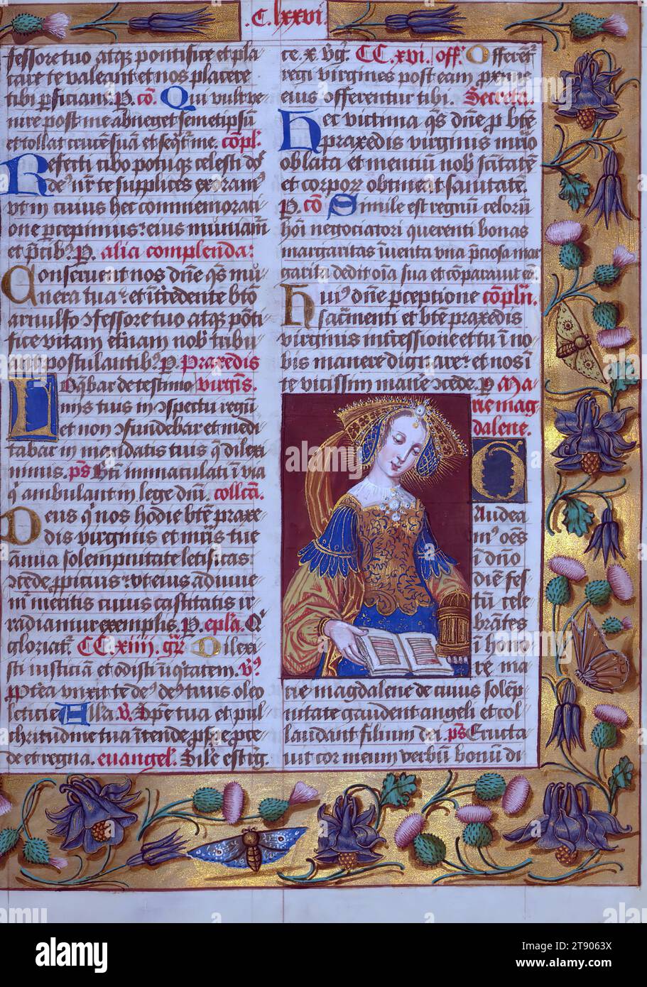 Heraldry indicating hi-res stock photography and images - Alamy