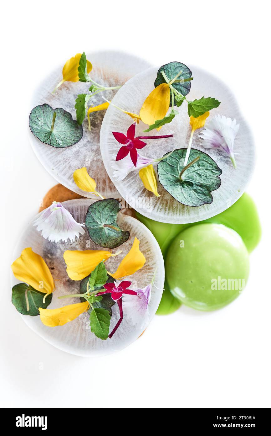 Gastronomy dish top view Cut Out Stock Images & Pictures - Alamy