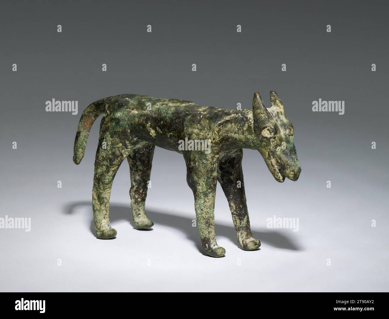 Mali dog hi-res stock photography and images - Alamy