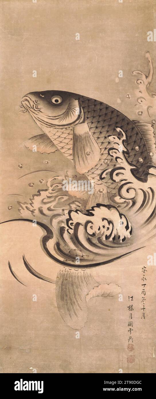 Tail fins create undulations hi-res stock photography and images - Alamy