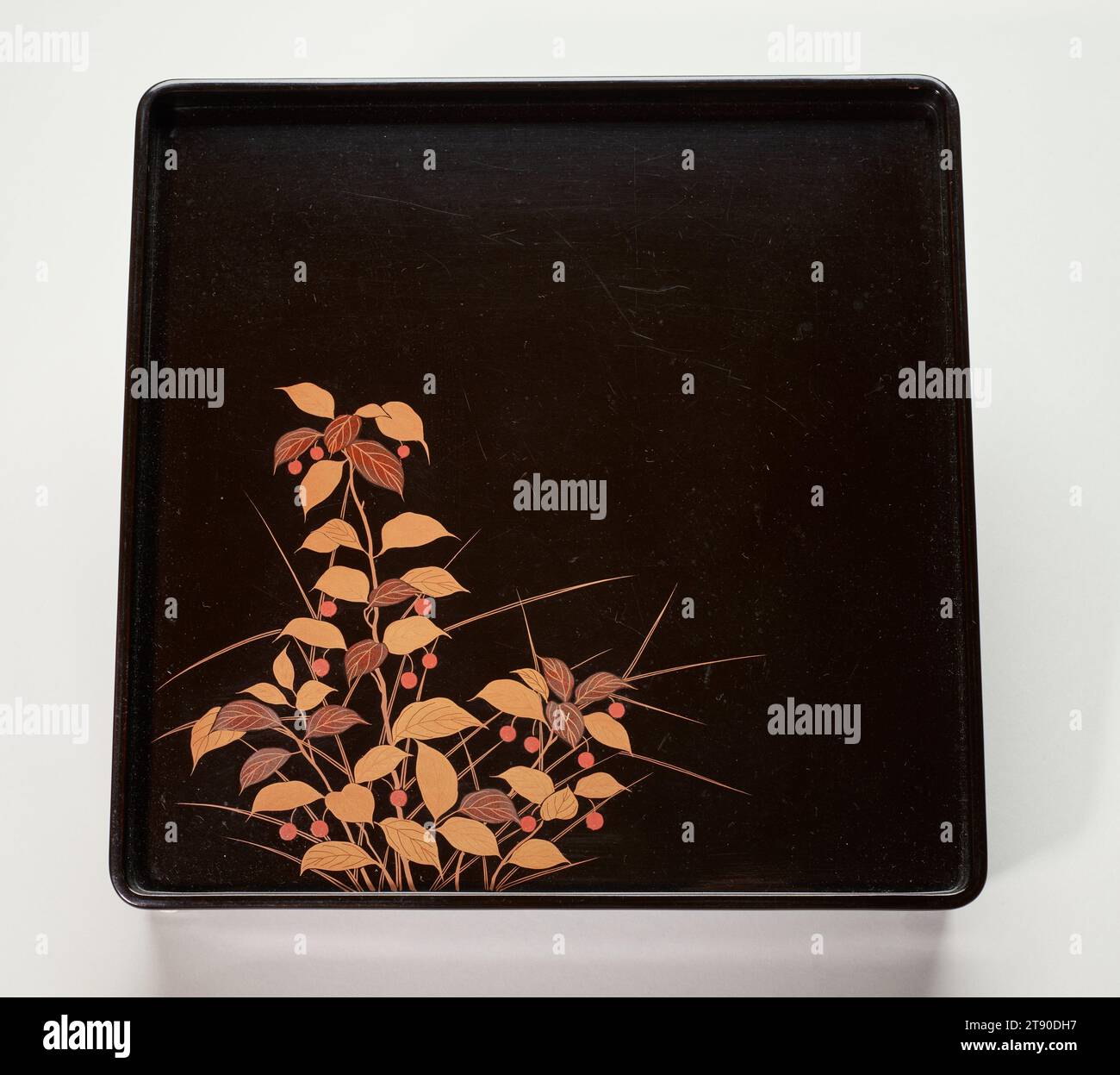 Low sprinkled picture hi-res stock photography and images - Alamy