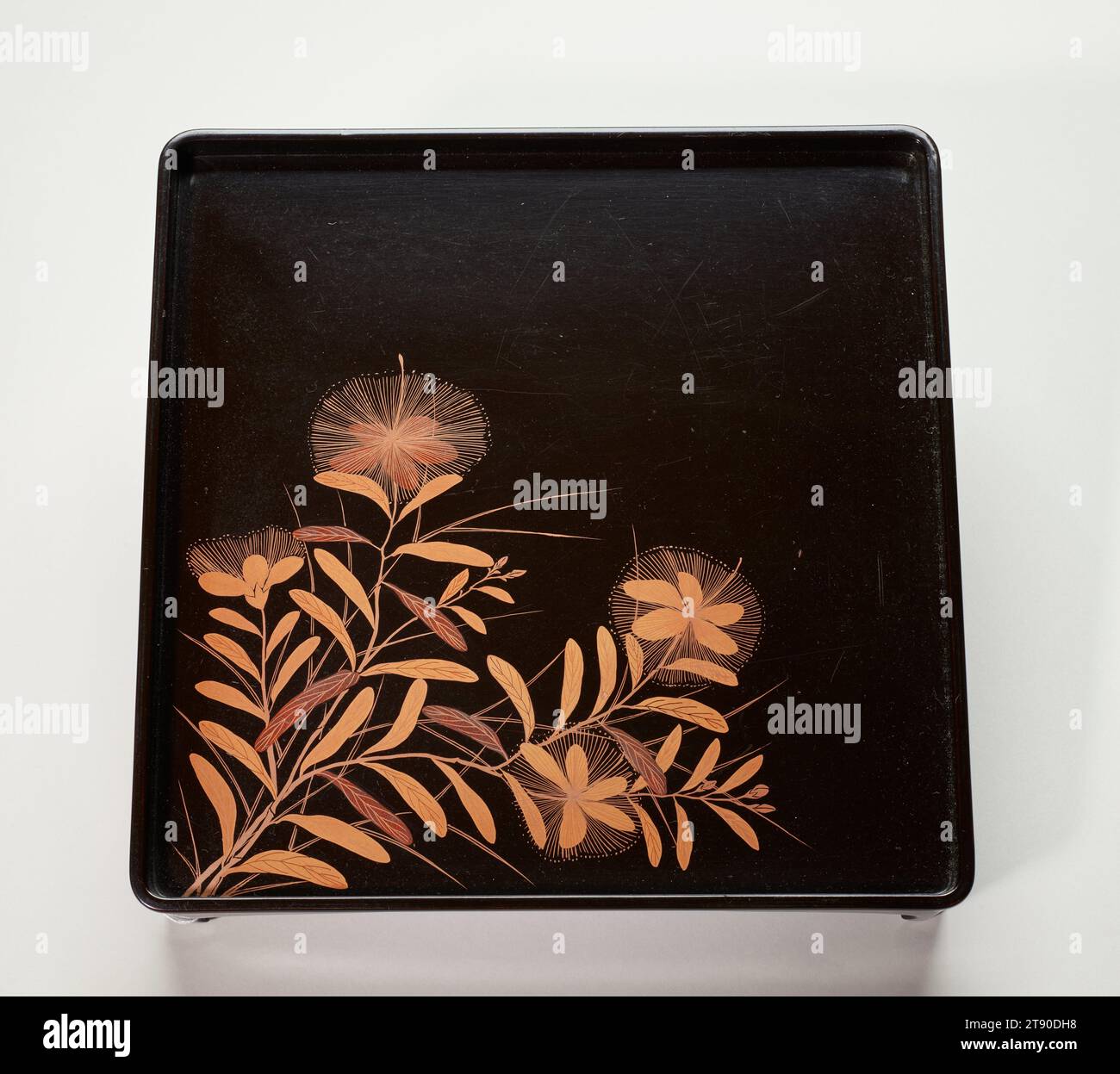 Small Serving Tray with Maiden Flower Design, late 18th century ...