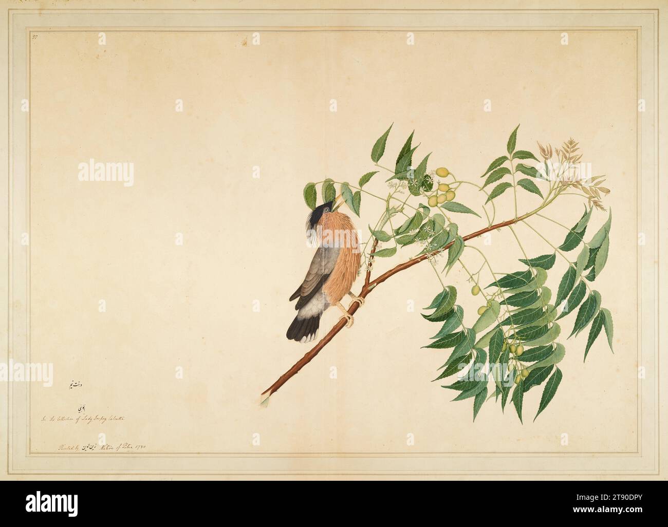 Native painters adapting hi-res stock photography and images - Alamy