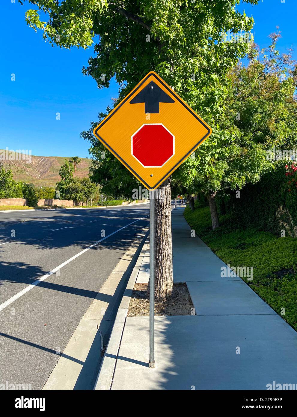 Stop sign stands hi-res stock photography and images - Alamy