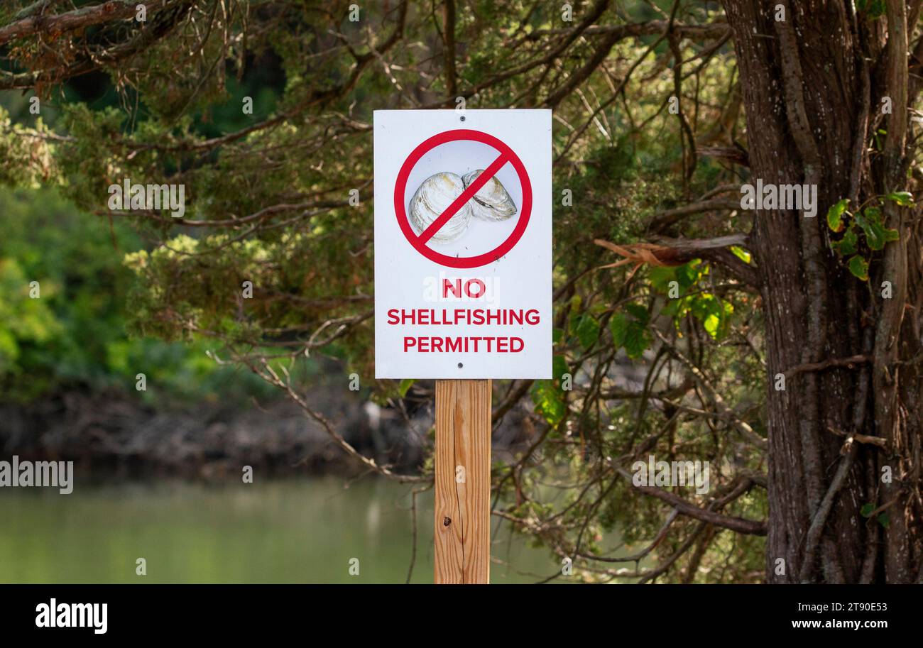 A no shellfishing sign in front of a body of water Stock Photo - Alamy