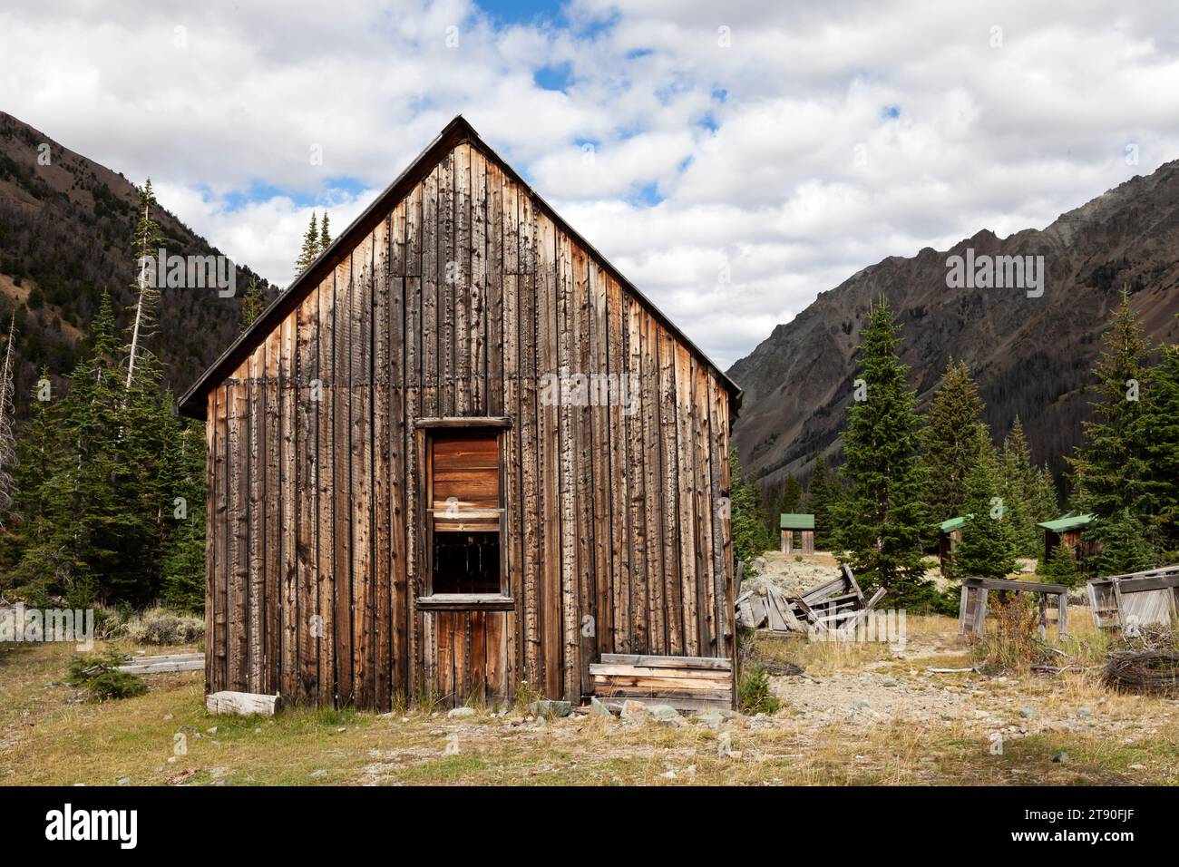 Assay hi-res stock photography and images - Alamy