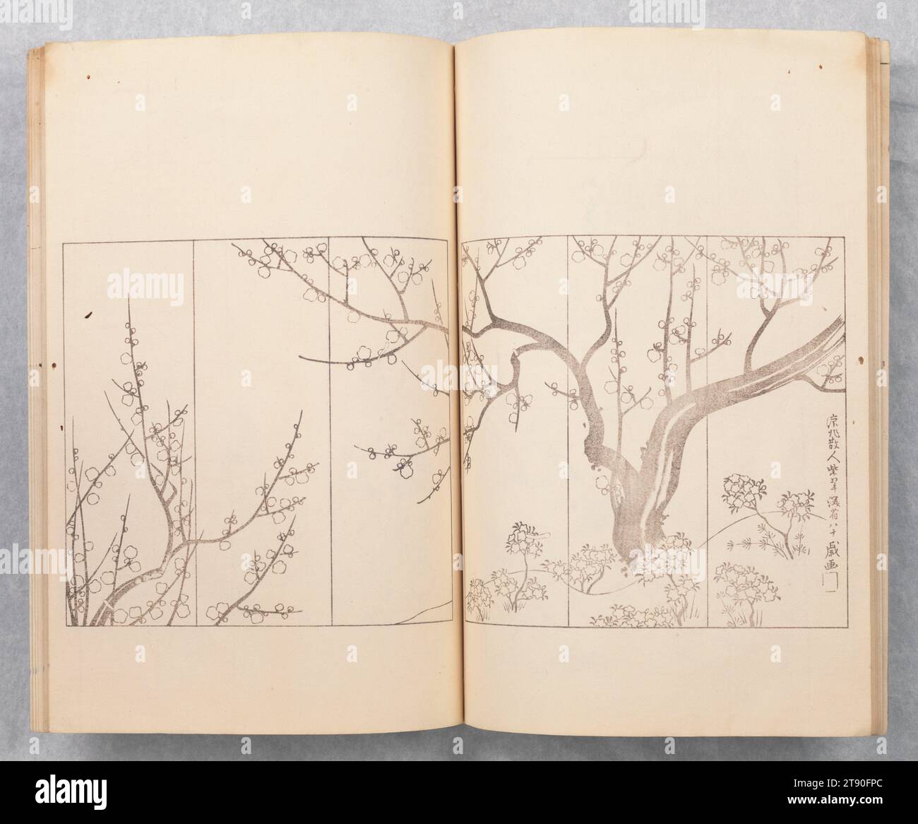 Collected designs hi-res stock photography and images - Alamy