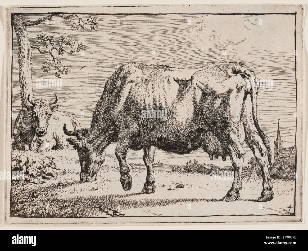 Beasts complex anatomy hi-res stock photography and images - Alamy