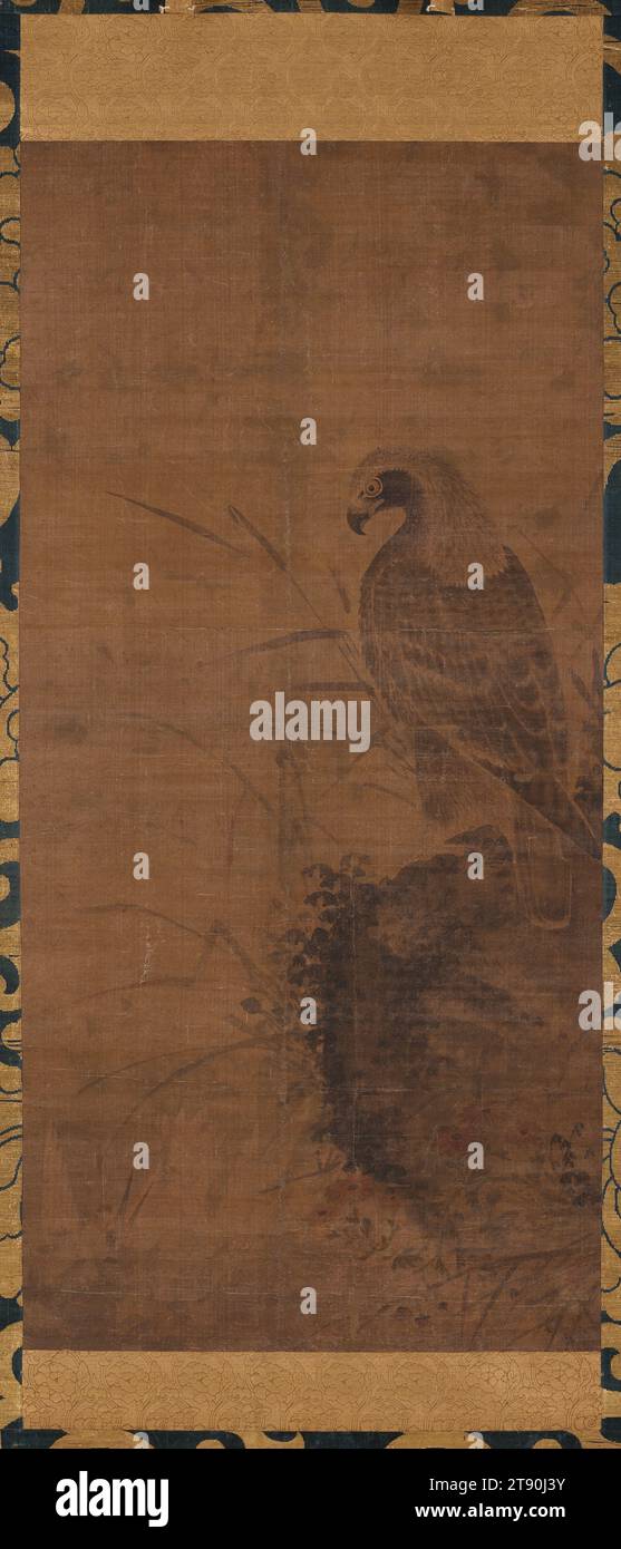 Hawk anchoring hi-res stock photography and images - Alamy