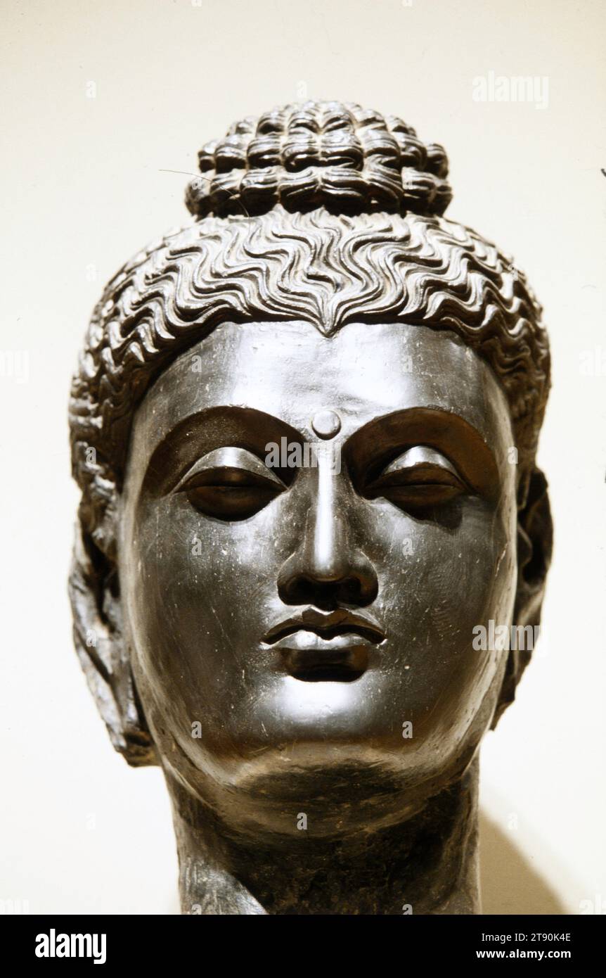Head of Buddha, Kushan period, 1-299, H.17-1/2 in., Grey schist ...
