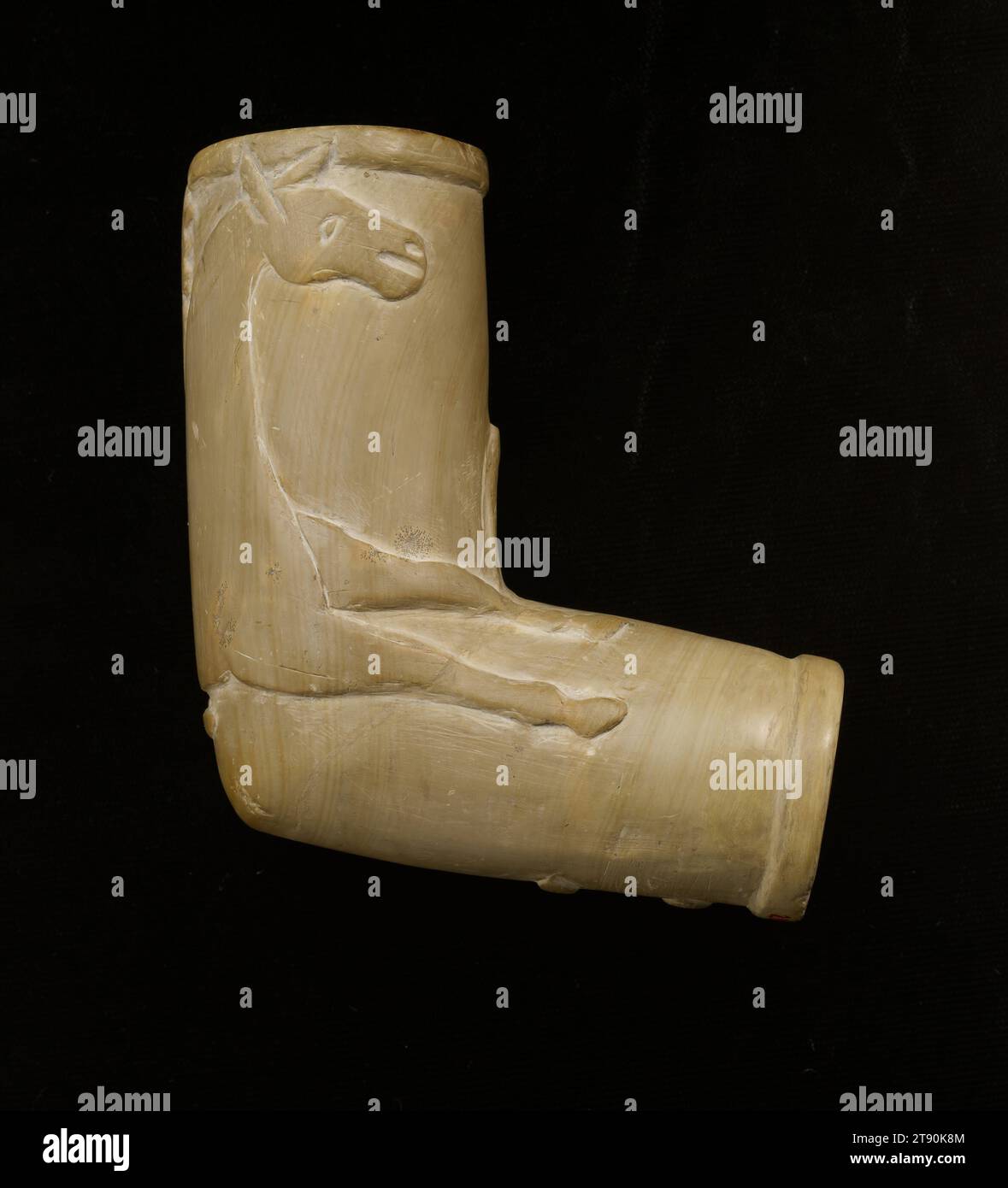 No two horns lived hi-res stock photography and images - Alamy